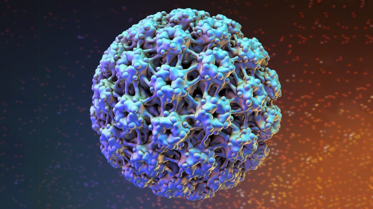 Información básica sobre el VPH en hombres - Urology Center